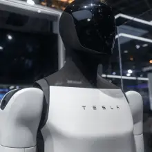 Tesla's Optimus humanoid robots hit by China's rare earth restrictions ...